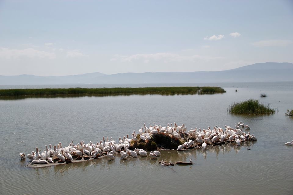 LA RIBERA DE CHAPALA – Un havre de paix dans l’Etat de Jalisco