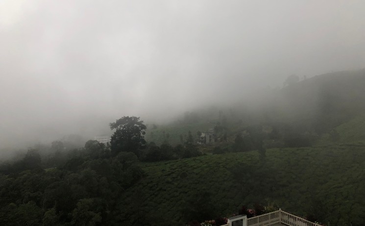 Le bref : L'Inde du centre subit la fureur de la mousson