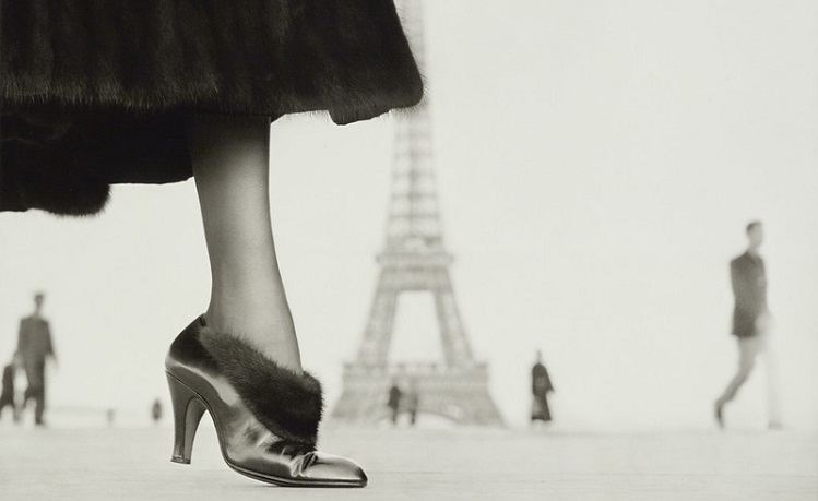 Avedon : Le maître de la photographie en 106 clichés iconiques au ...