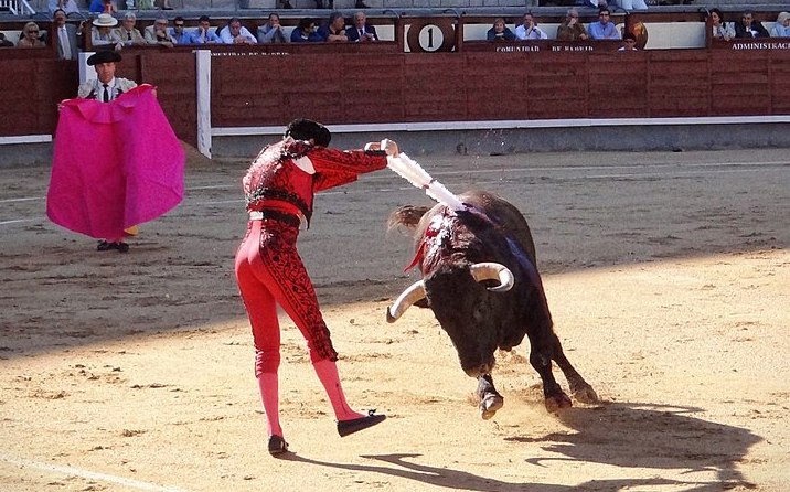 Le débat sur la corrida traverse la frontière