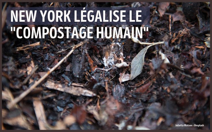 New York adopte le "compostage humain"