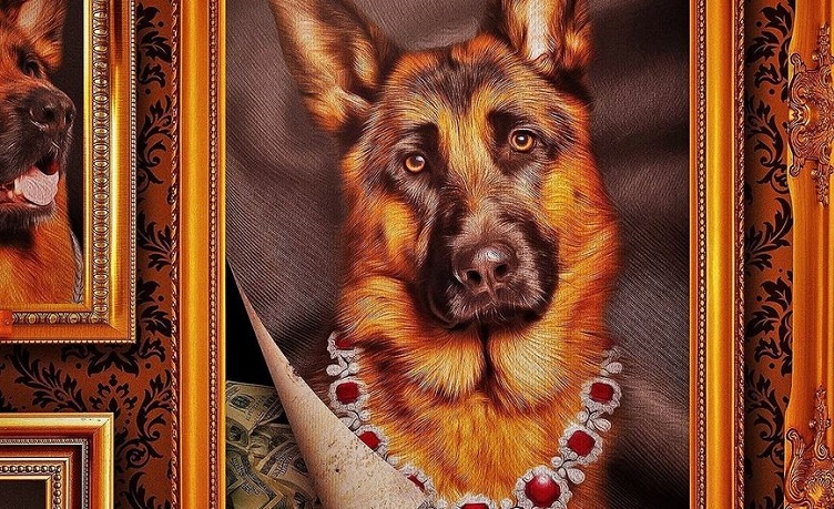 Gunther, ce chien millionnaire qui appartenait à un Italien, dévoilé ...