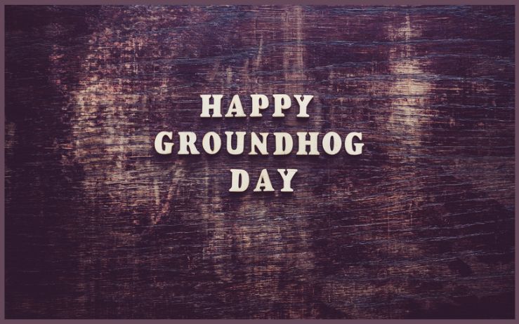 Que célèbre-t-on pendant le groundhog day à New York