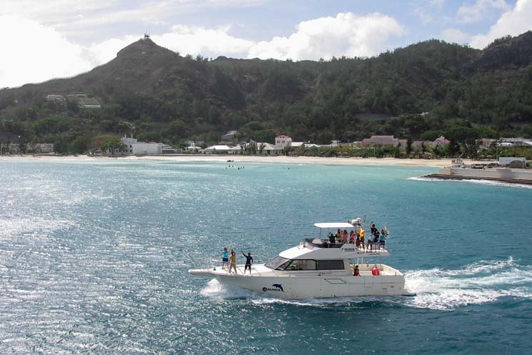 À la découverte des îles Ogasawara, un paradis tourné vers l’écotourisme