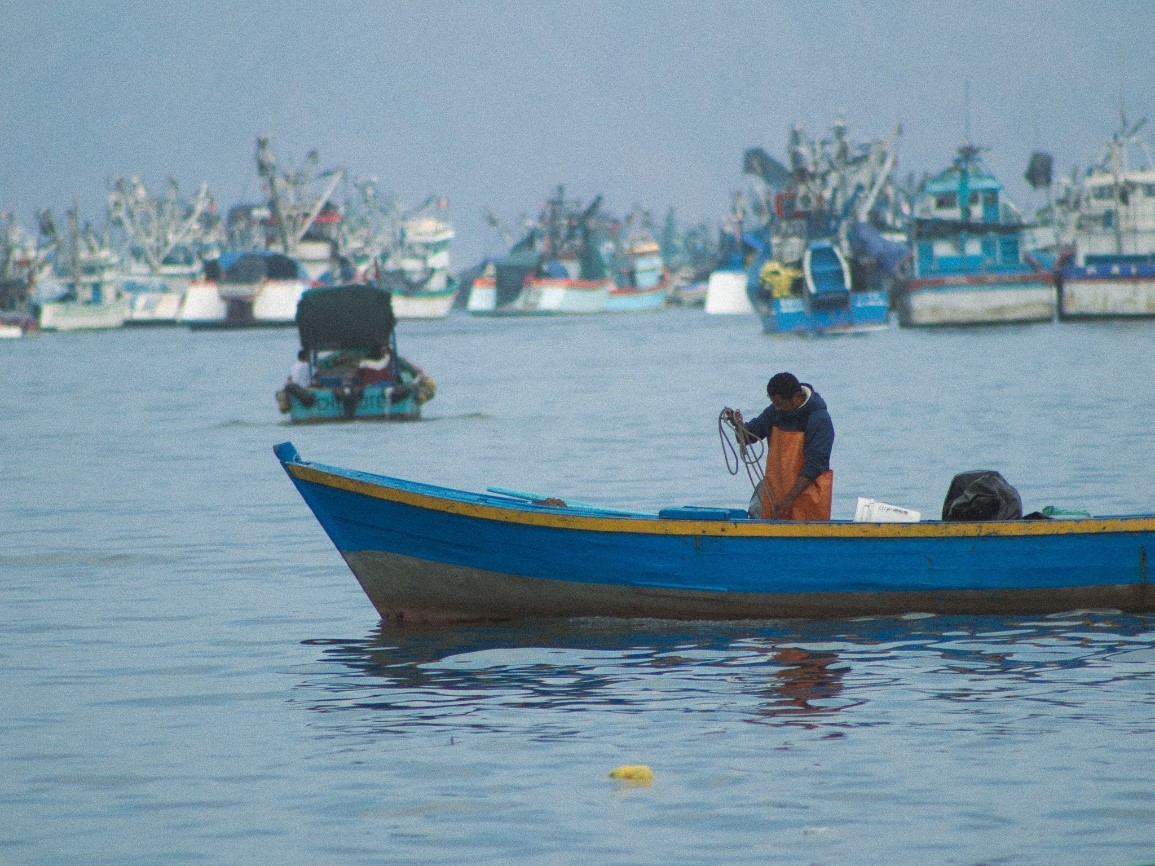 Chimbote : De 1er port mondial de pêche à zone marine ravagée par la ...