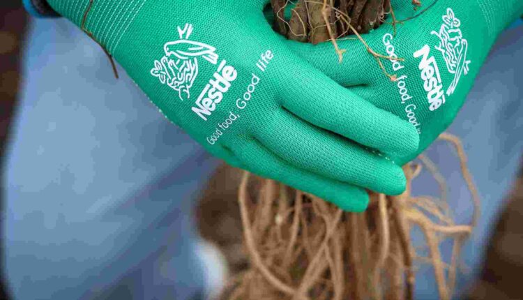 Le projet « Honey Forest » de Nestlé atteint 110 000 arbres plantés en ...
