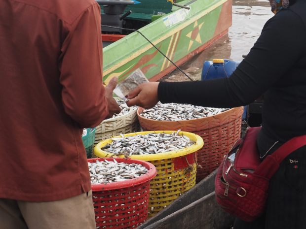 Le prahok : une tradition cambodgienne, une économie et une culture