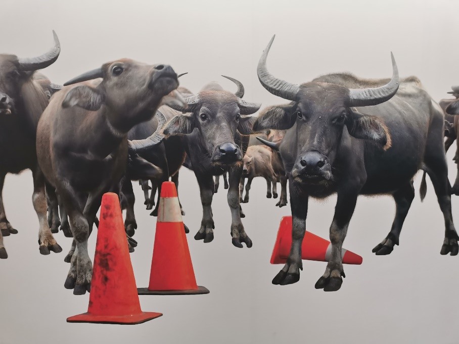 Découvrez deux artistes incontournables de la scène asiatique au ...