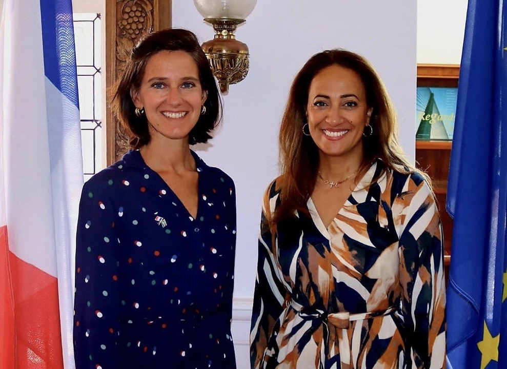 AFRIQUE DU SUD: visite de Madame Amélia LAKRAFI, députée de la 10ème ...