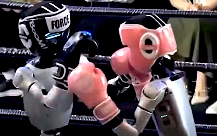 Boxe de robots à Hangzhou : la Chine muscle sa révolution humanoïde