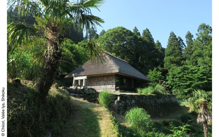 Rencontre avec Alex Kerr : un regard éclairé sur le Japon d’hier et de ...