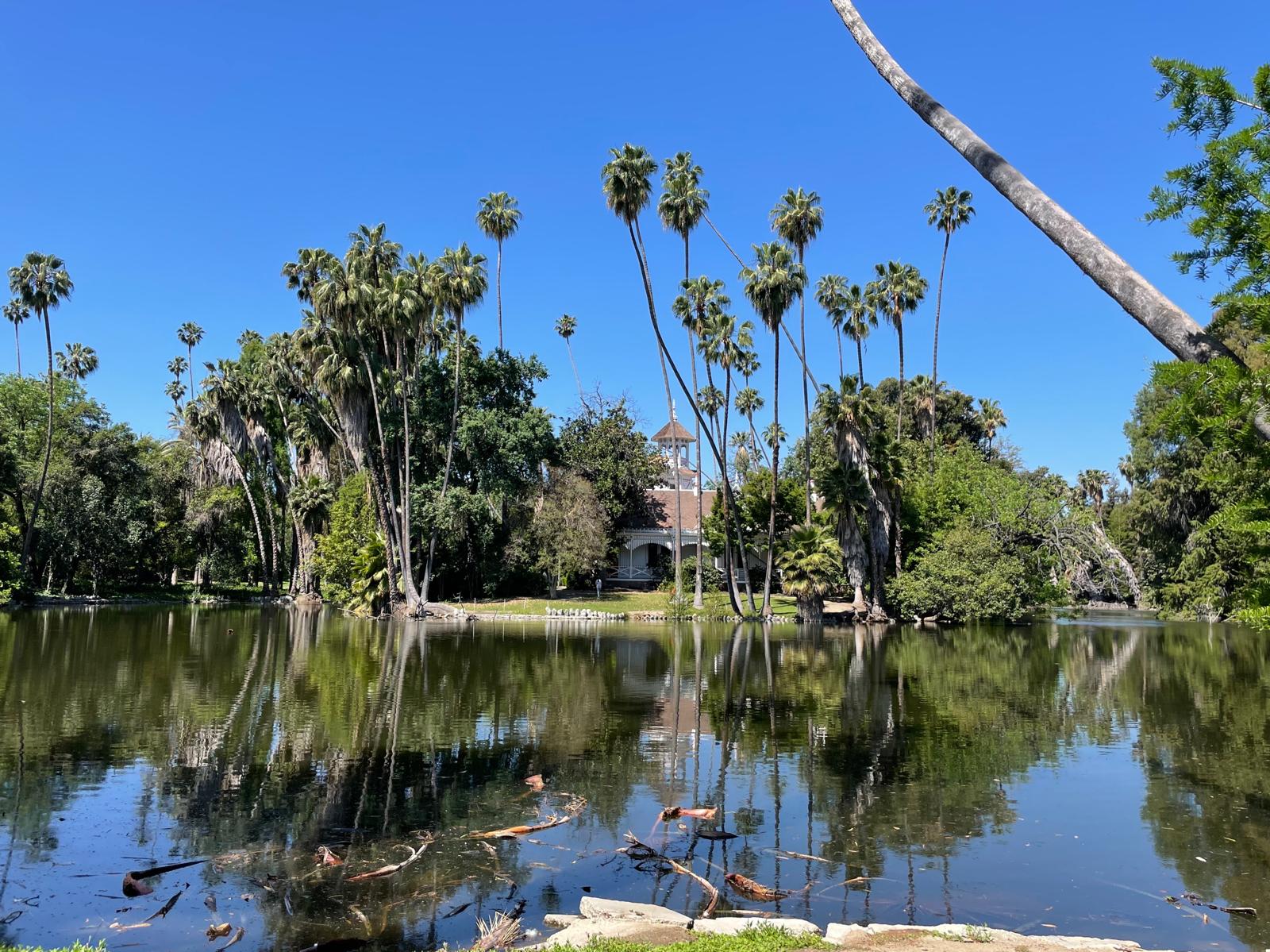 Le charme magique de l’Arboretum de Los Angeles, à quelques minutes de ...