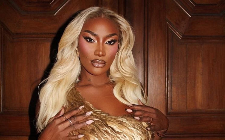 Aya Nakamura, l’icône française qui a conquis le monde