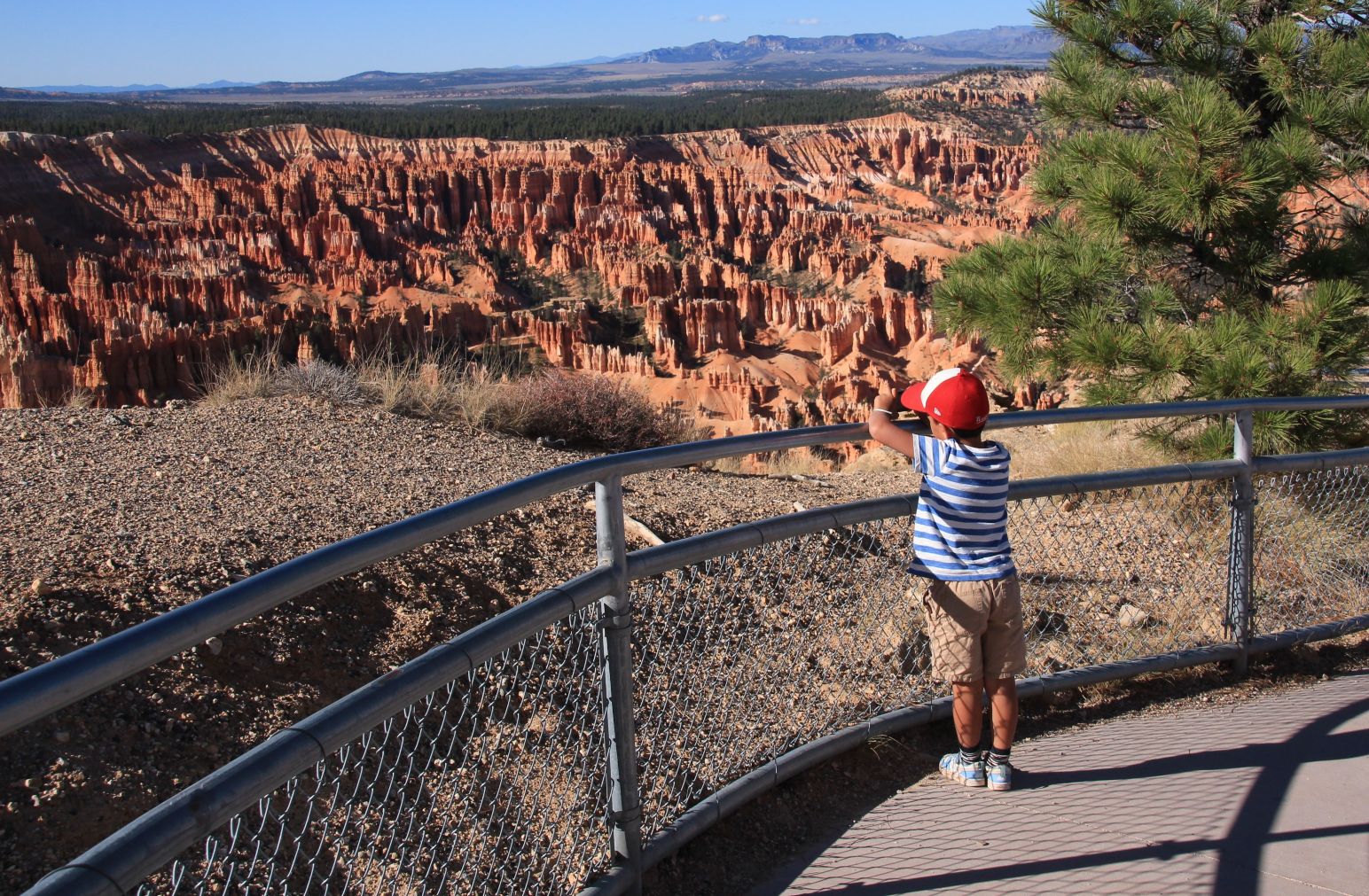 Parcs nationaux américains, jour 3 : Bryce Canyon, cathédrale de pierre