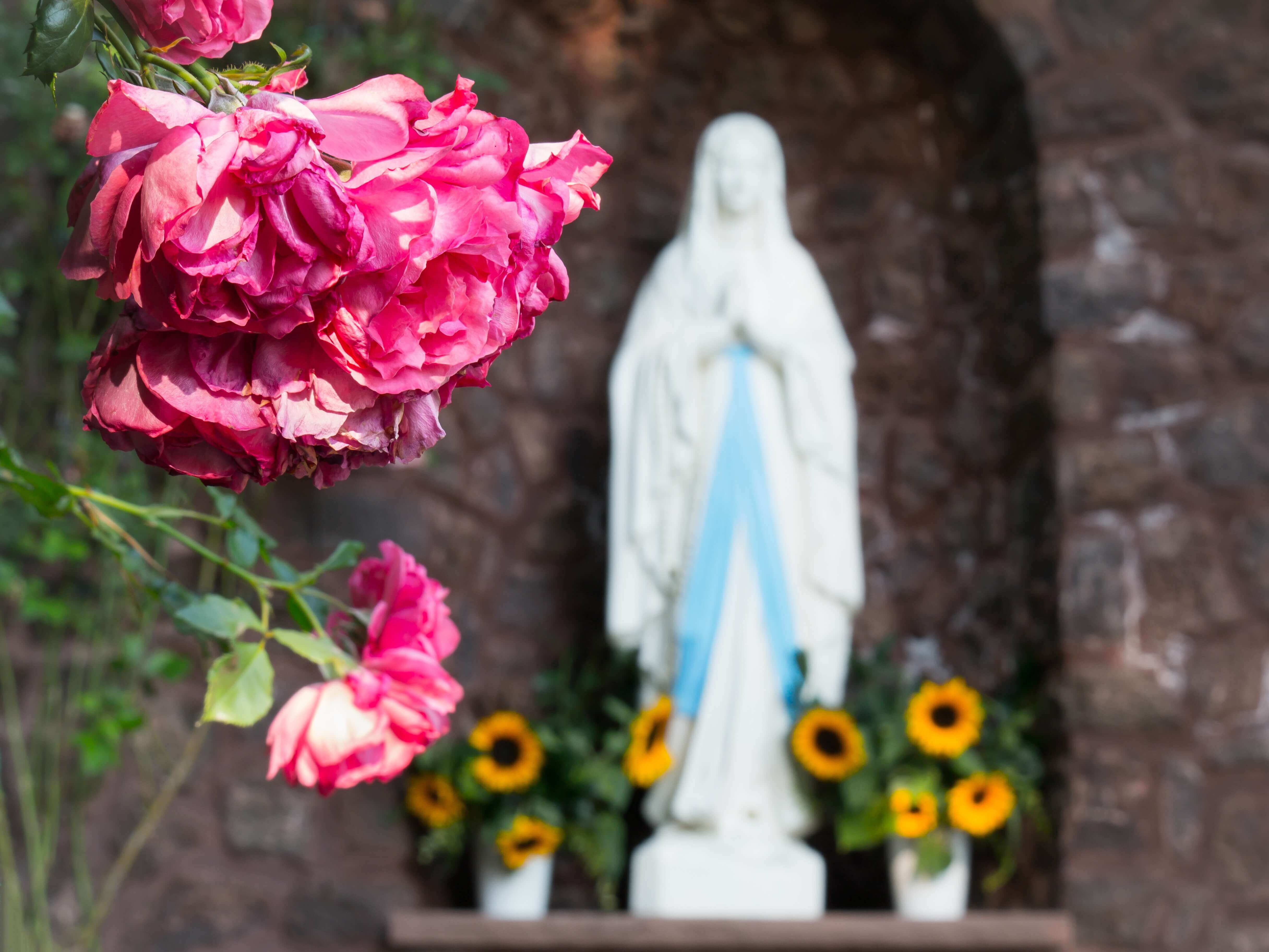 Légende de la rose de Reus : entre mythe et héritage