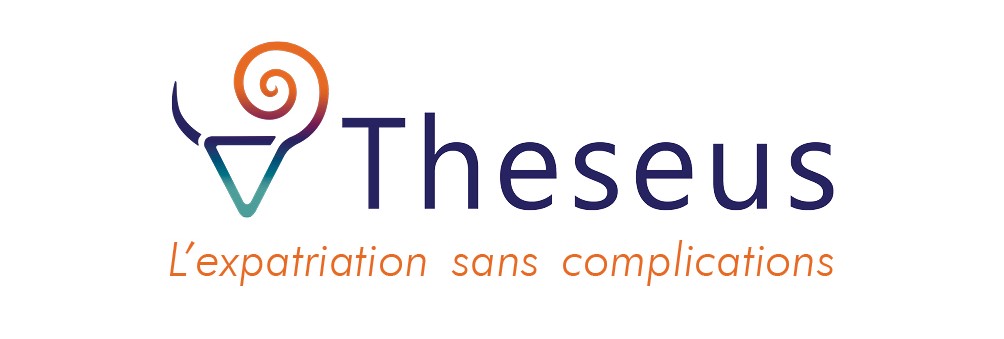 Theseus Services - Accompagnement administratif & juridique pour vivre ...