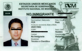 CREDENCIAL FM2 - Le statut migratoire pour séjourner au Mexique en tant ...