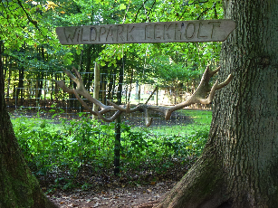 WILDPARKT EEKHOLT - A 50 km de Hambourg, un parc animalier en pleine forêt