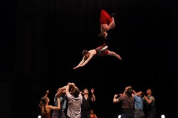 SPECTACLE - Le cirque moderne, ou l’illustration du "vivre ensemble"