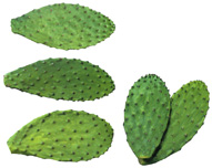 MEXIQUE/RECETTES DE TANIA - Huarache nopalero, sauce pico de gallo